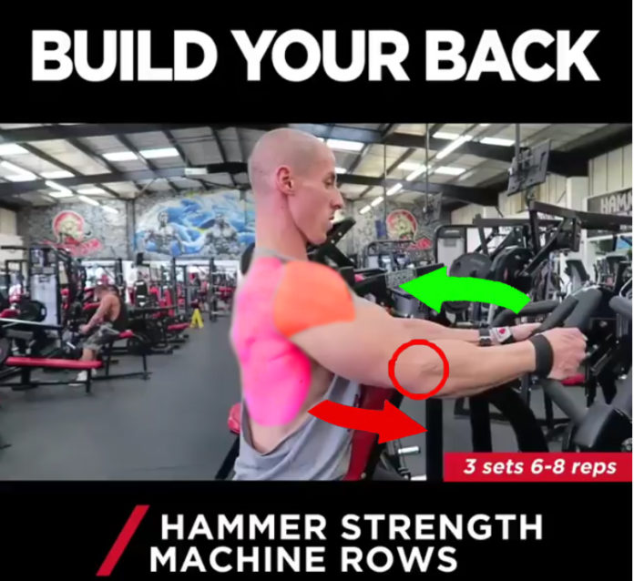 COMPLETE BACK WORKOUT | GUIDE