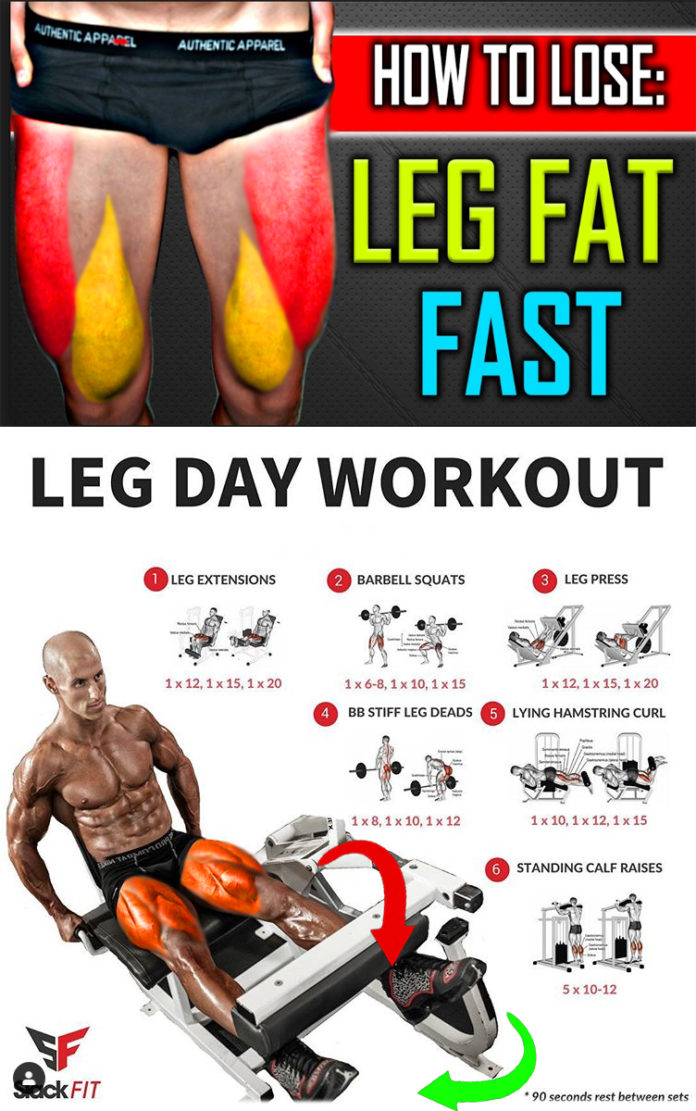 Leg Day Workout | Guide