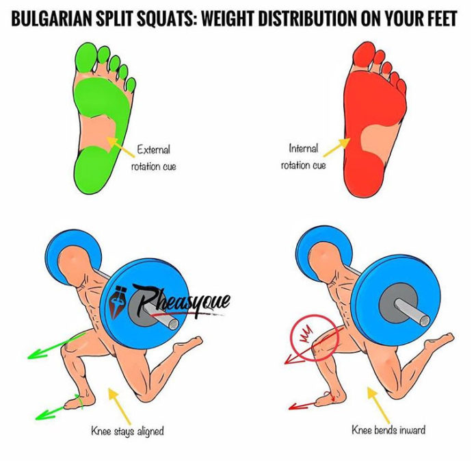 BULGARIAN SPLIT SQUATS | GUIDE