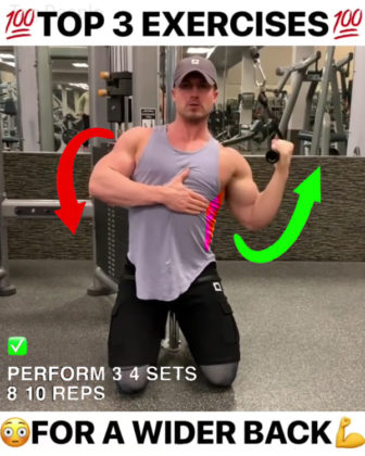 3 TOP GAIN BACK EXERCISES | VIDEO & GUIDE