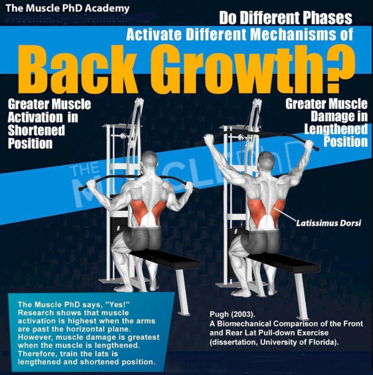 ACTIVATE DIFFERENT MECHANISMS OF BACK GROWTH
