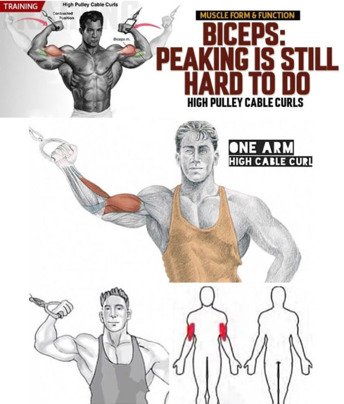 SINGLE ARM CABLE CURL