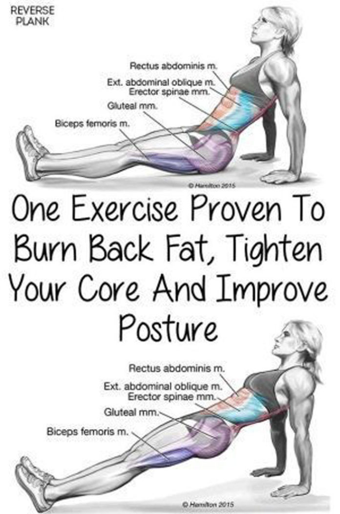 Lower Body with Reverse Planks