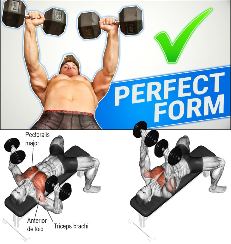 CHEST SUPERSET | VIDEO & GUIDE