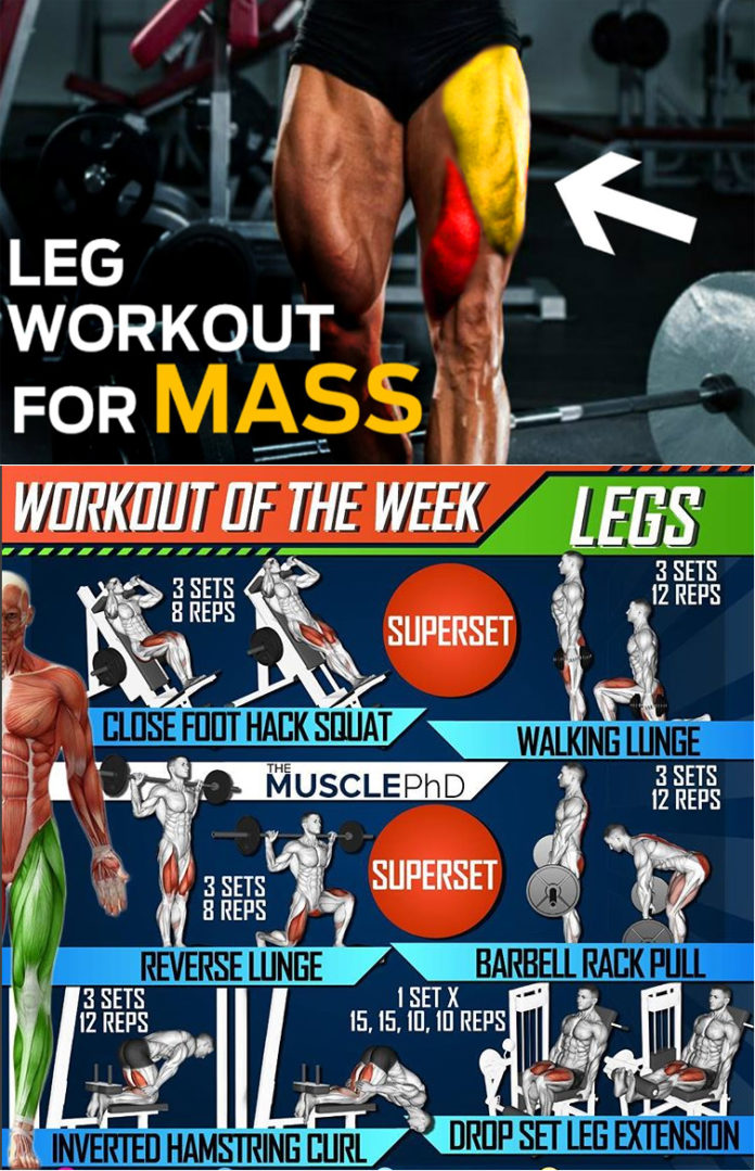 Leg Workout For Mass | Guide & Video