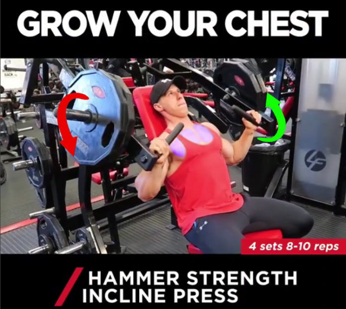 TOP 5 COMPLETE CHEST WORKOUT | VIDEO & GUIDE