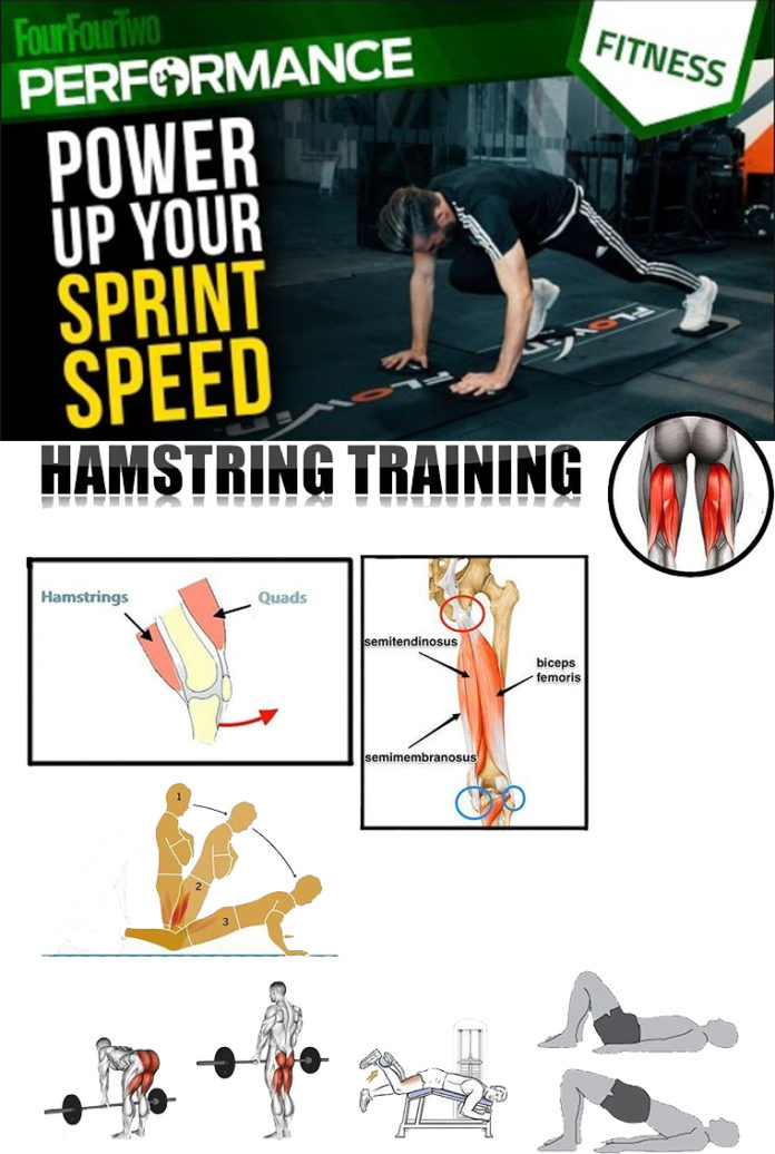 HOW TO SPRINT FASTER