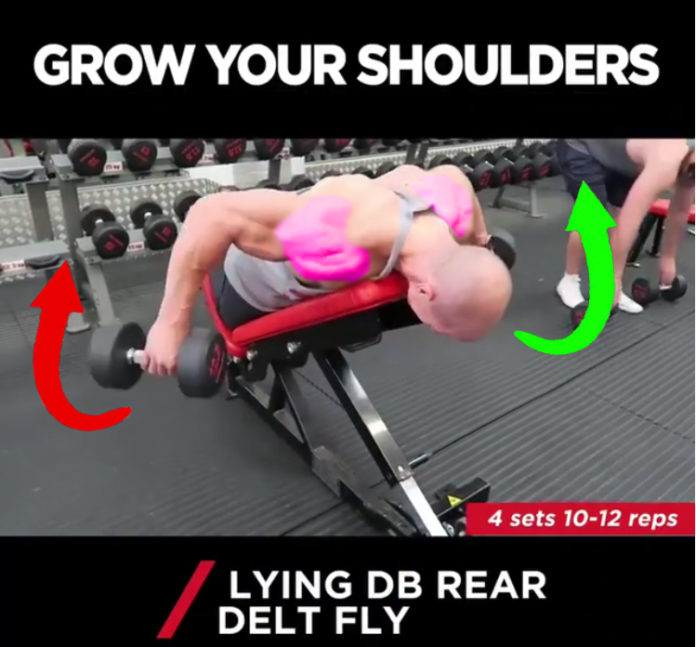 4 Rear Delt Exercises For Stronger Shoulders