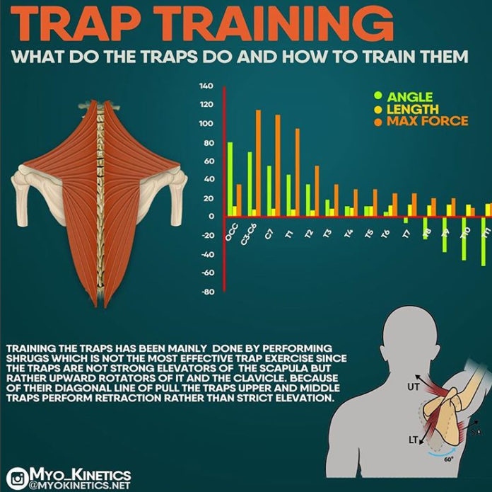 TRAP TRAINING | GUIDE