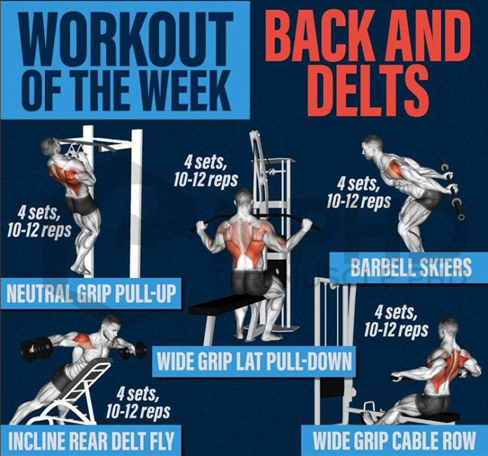 TOP 3 WORKOUT - BACK & DELTS