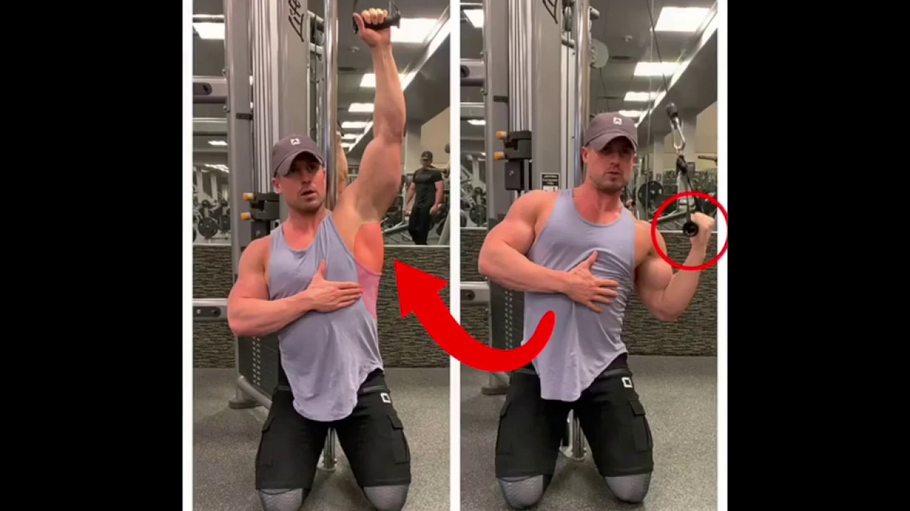3 TOP GAIN BACK EXERCISES | VIDEO & GUIDE