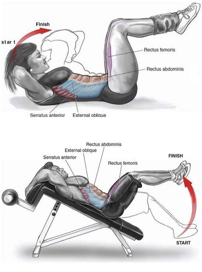 6 Pack Abdominal Exercises | Picture & Guide