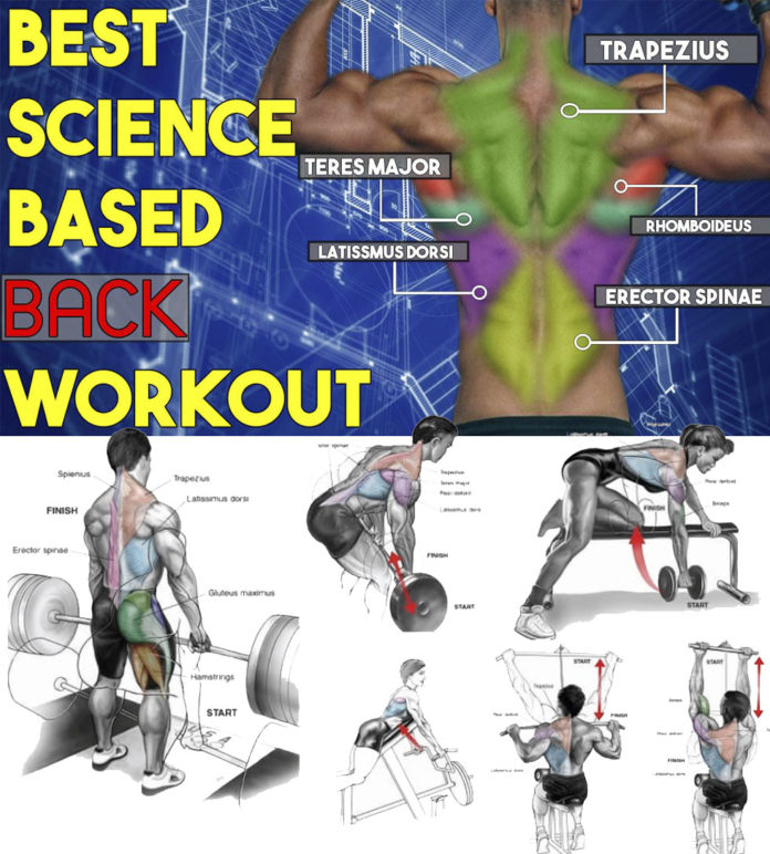 Build Bigger Huge Back | Tips & Guide