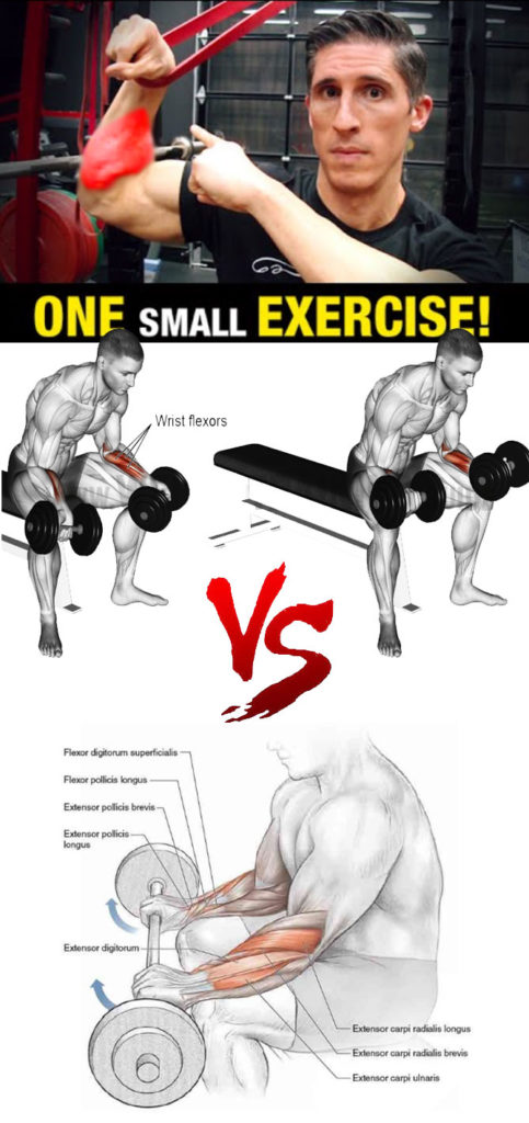 WRIST EXERCISES FROM CURLS