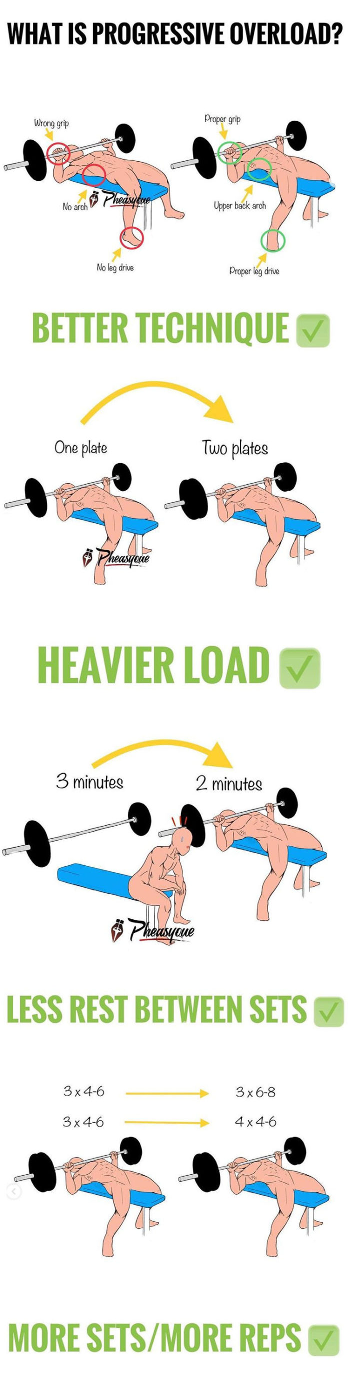 PROGRESSIVE OVERLOAD