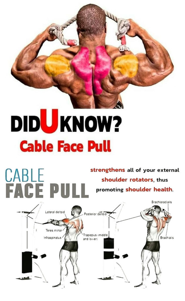 How to Cable Face Pull | Guide