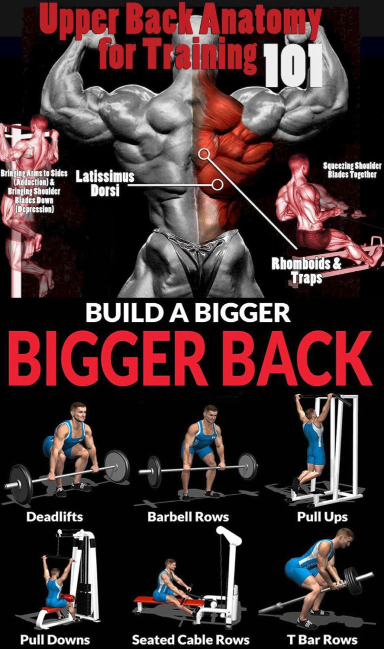 HOW TO TRAINING BUILD A BIGGER BACK