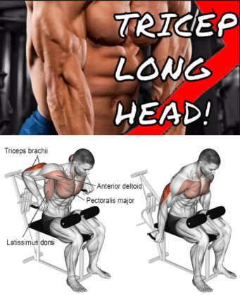 COMPLETE ISOLATION WORKOUT FOR THE TRICEPS