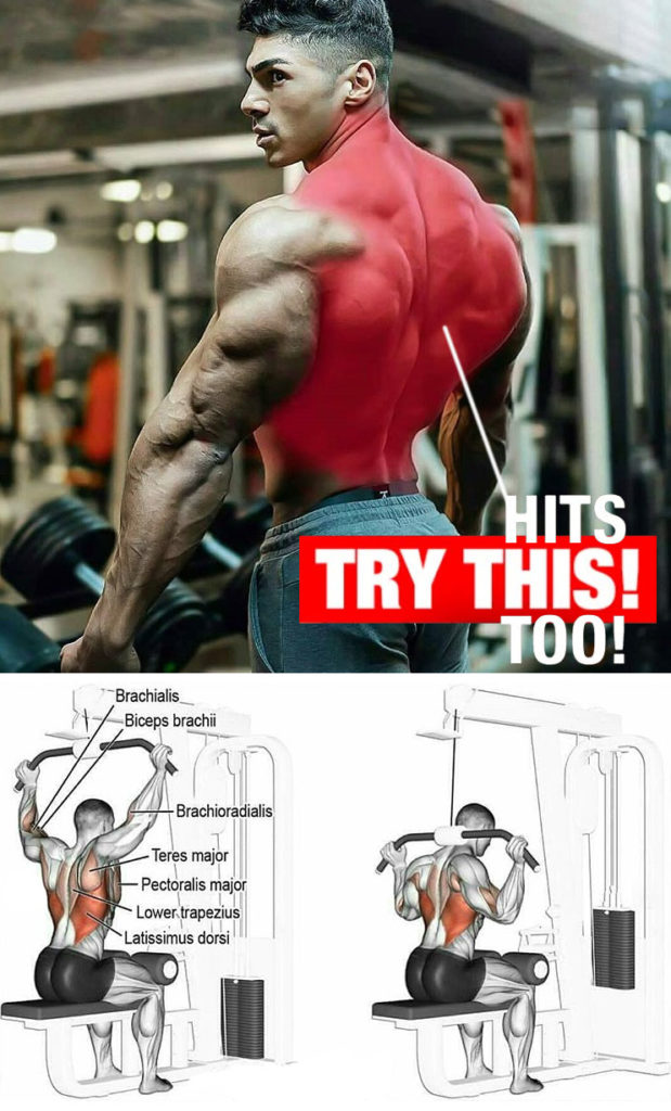 Exercises for Shredded Huge Back | Picture & Guide