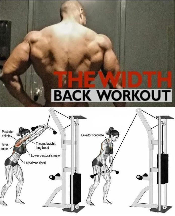 Exercises for Shredded Huge Back | Picture & Guide