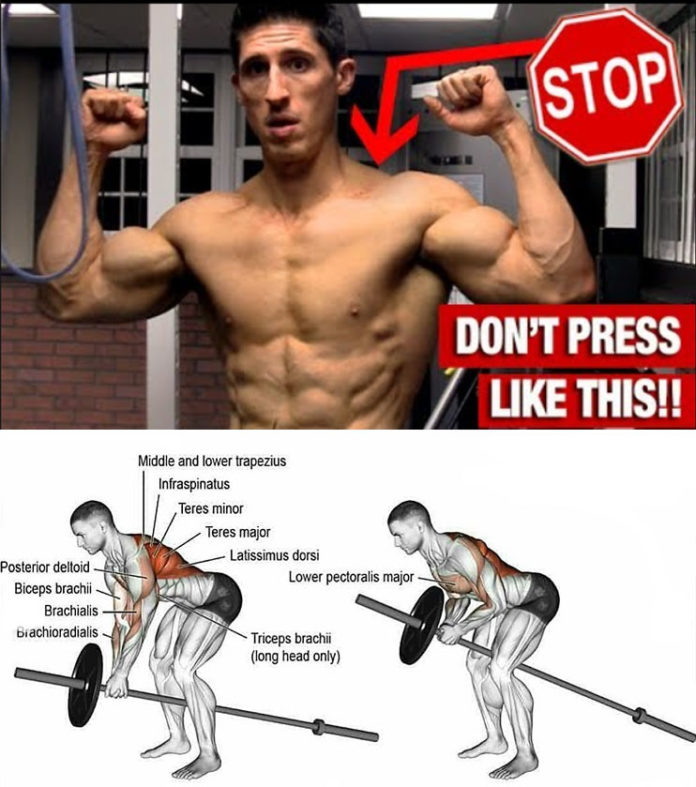 Exercises for Shredded Huge Back | Picture & Guide