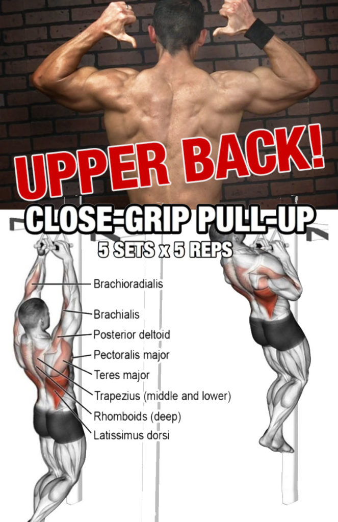 HOW TO TRAINING BUILD A BIGGER BACK