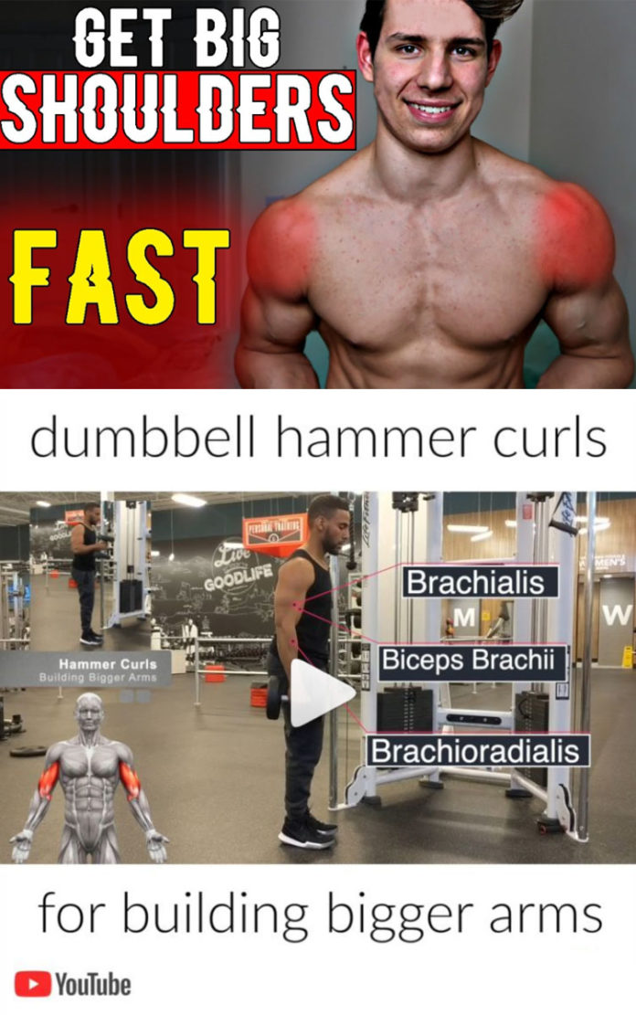 HOW TO DUMBBELL HUMMER CURLS