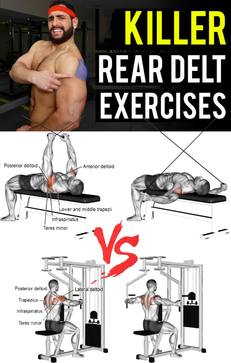 HAND POSITION DURING REVERSE FLYS MACHINE