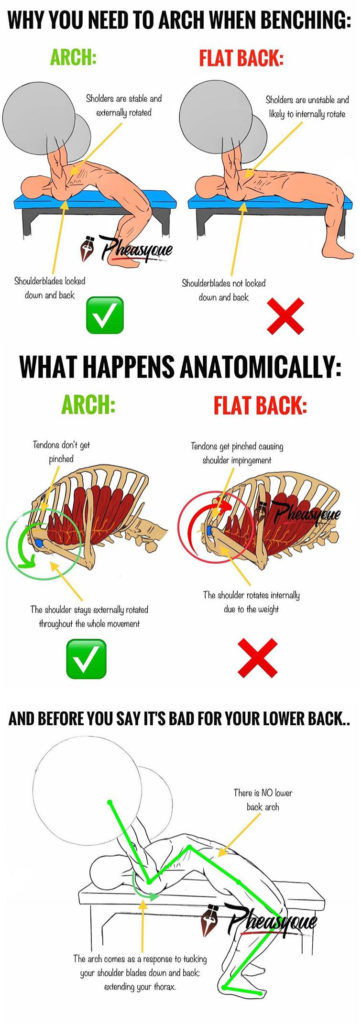 WHY YOU NEED TO ARCH WHEN BENCHING
