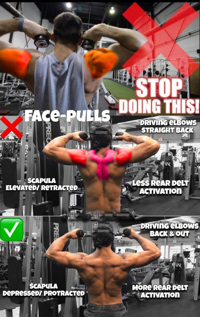 How to Cable Face Pull | Guide