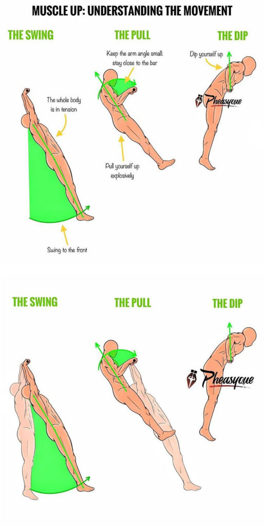 THE MUSCLE UP: UNDERSTANDING THE MOVEMENT