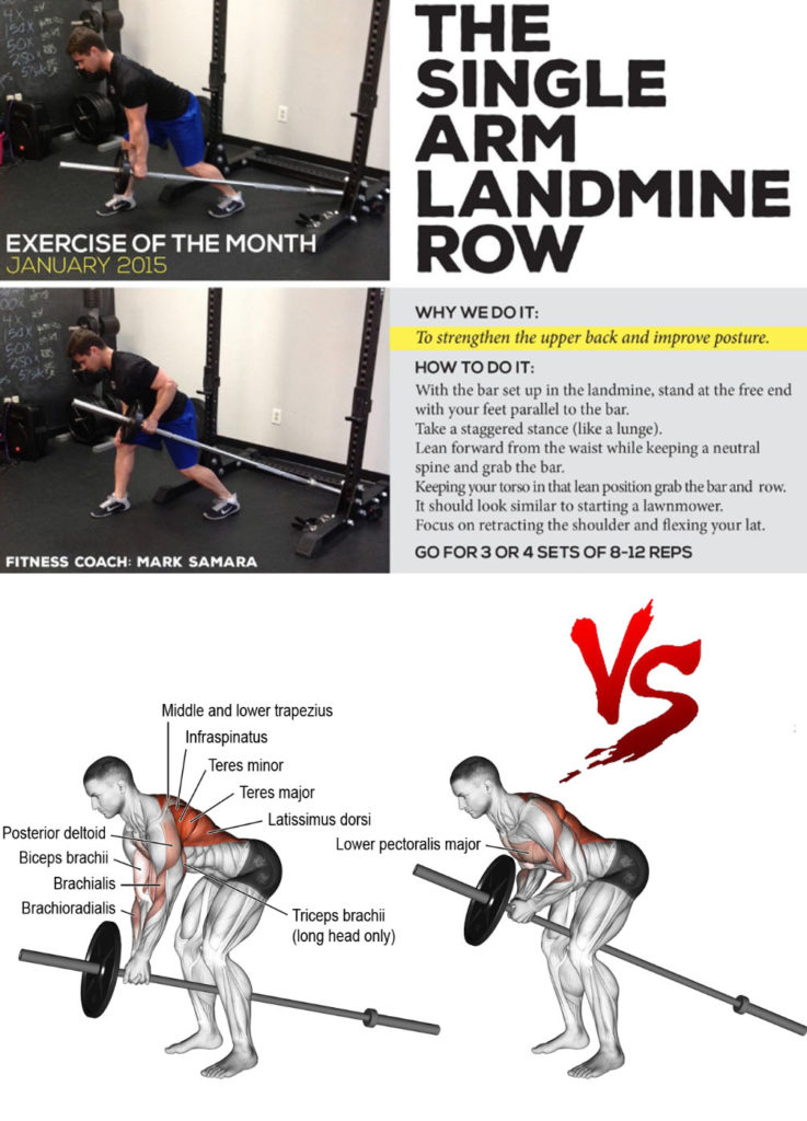 How to Landmine Row | Picture & Video