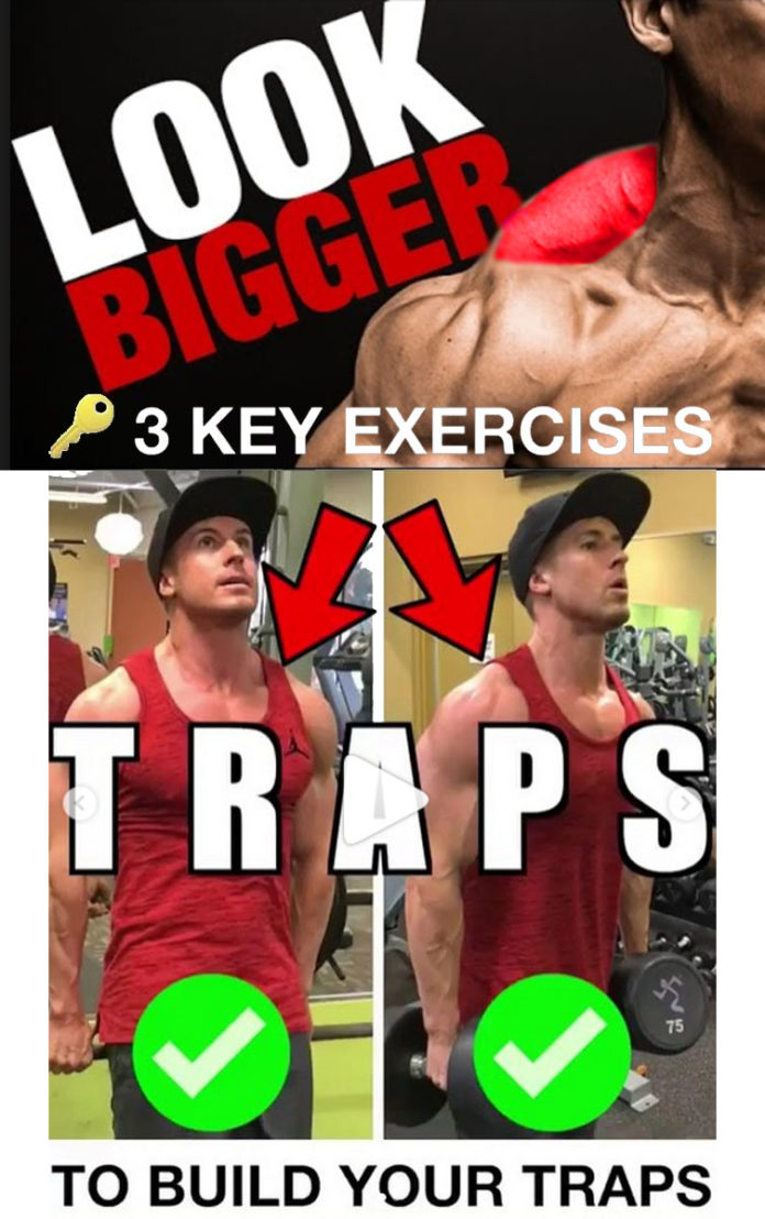 3 HIT TOP TRAP EXERCISES