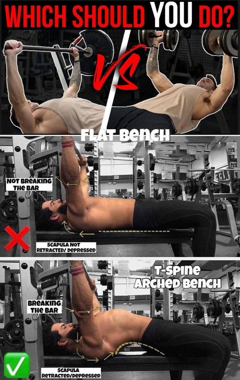 How to Barbell Bench Press | Chest & Guide