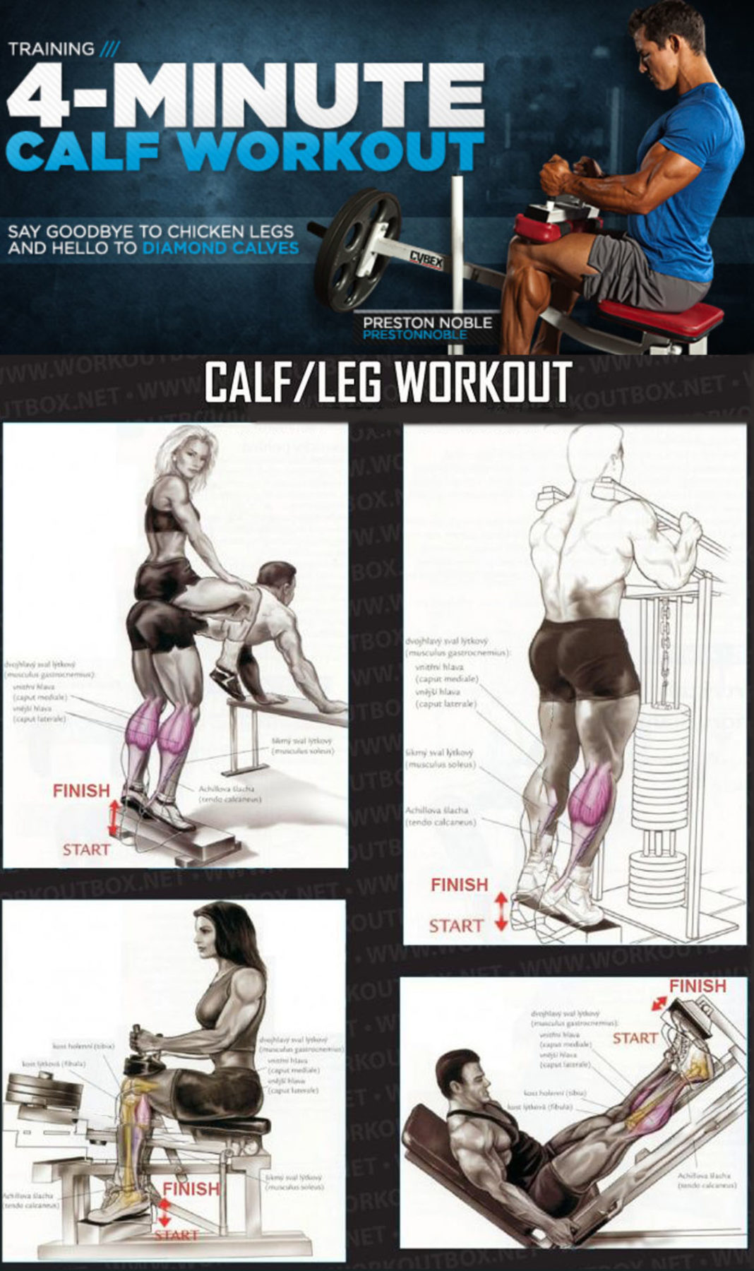 5 Min Calf Workout Video Guide