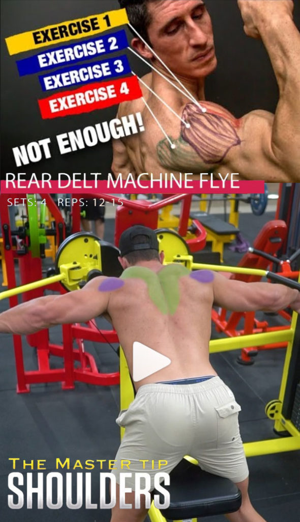 HOW TO FULL SHOULDER WORKOUT | VIDEO & GUIDE