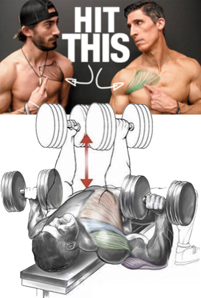 5 BEST CHEST EXERCISES | Picture & Guide