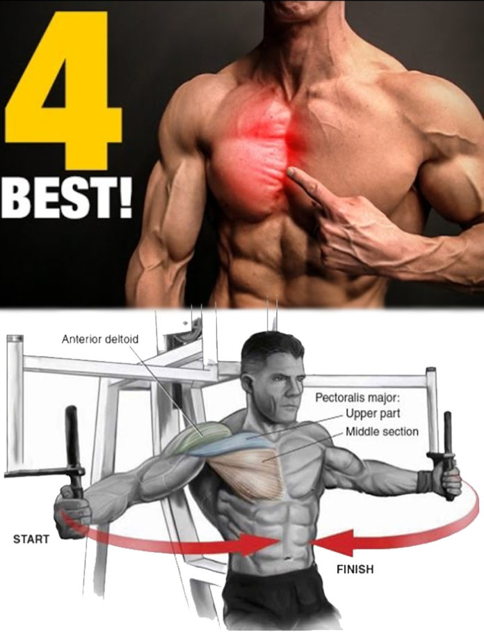 5 BEST CHEST EXERCISES | Picture & Guide
