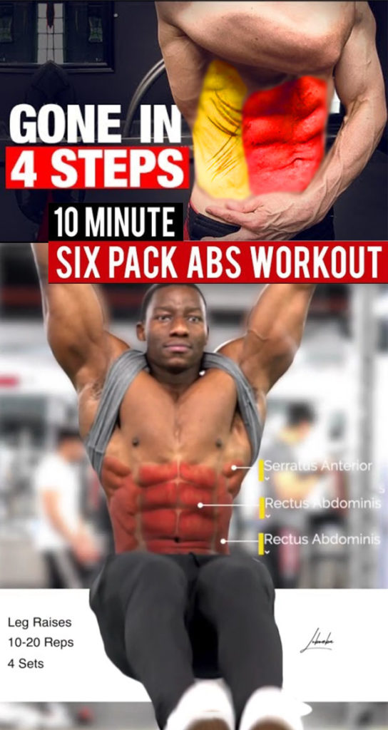 6 Pack Abdominal | Video & Guide