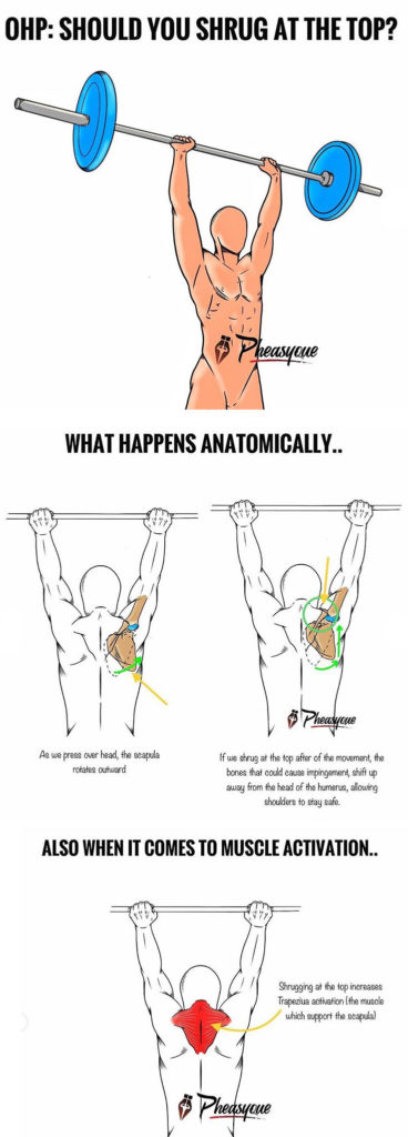 HOW TO SHRUGGING AT THE TOP & GUIDE
