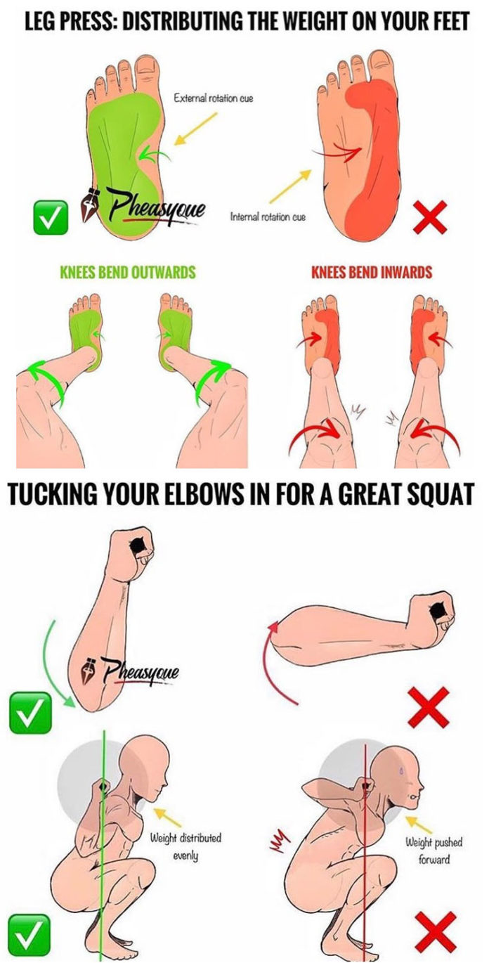 ELBOWS & HIGH BAR SQUATS | GUIDE