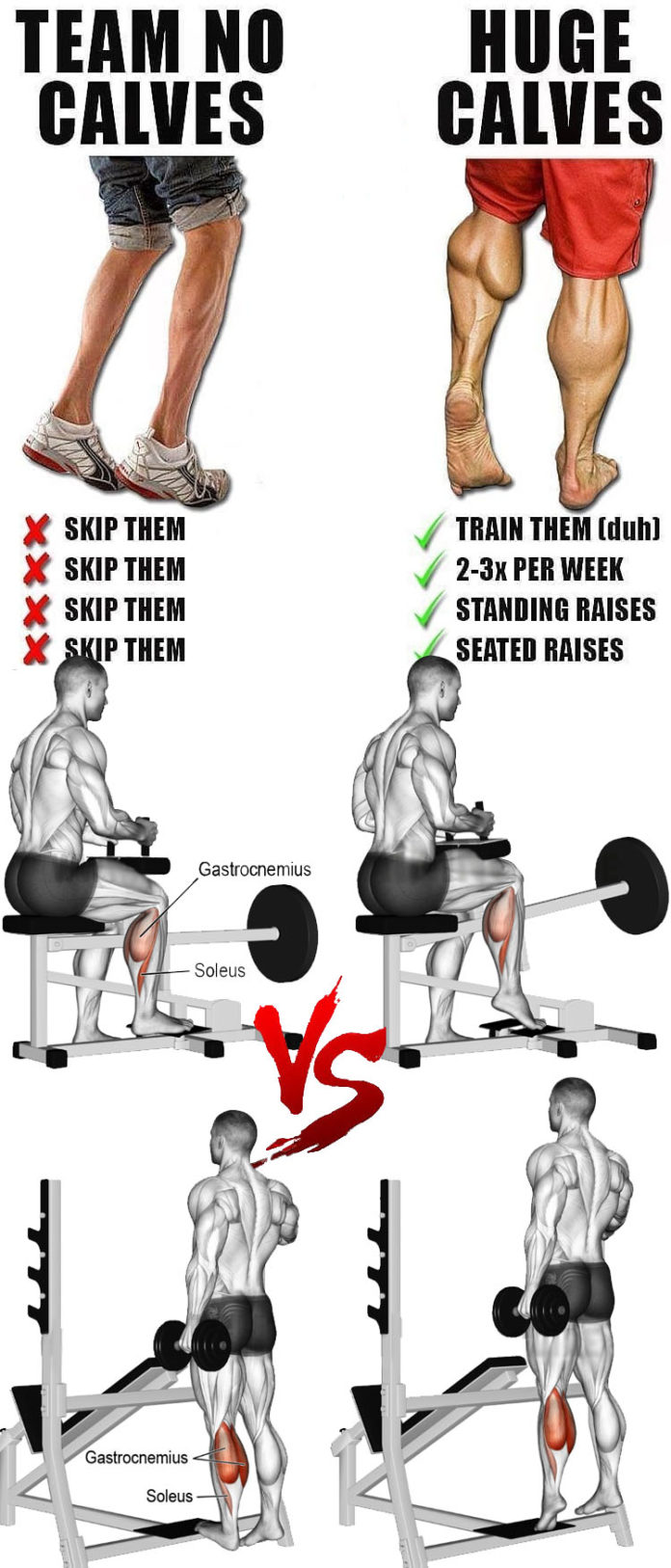 HOW TO BUILD UPPER & LOWER BODY WORKOUT