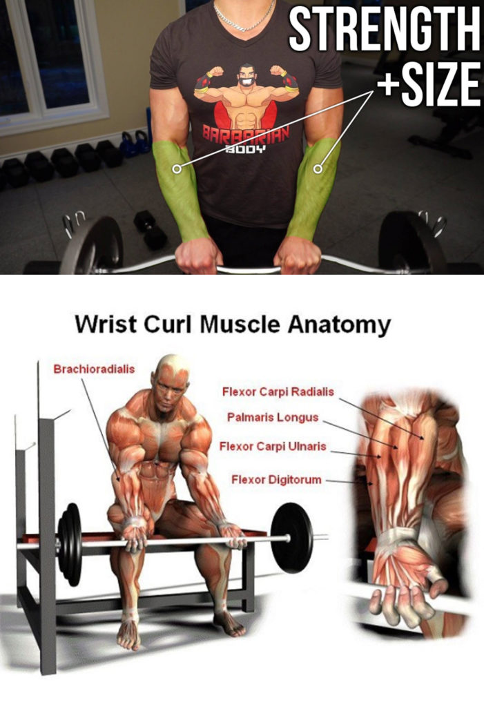 3 TENNIS ELBOW EXERCISES