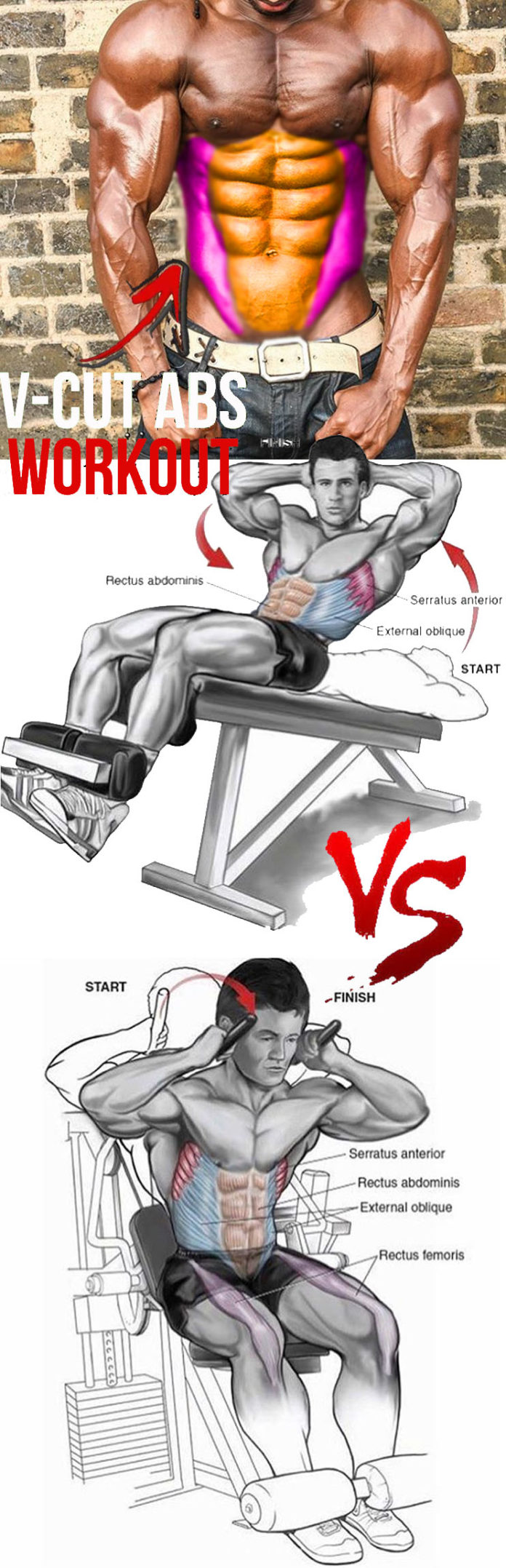 SIX PACK ABDOMINAL WORKOUT | GUIDE