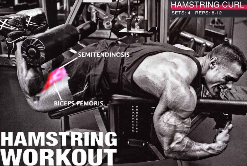 How to Do Hamstring Curl, Benefits, Technique Guide
