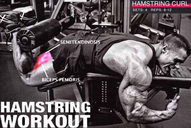 How to Do Hamstring Curl, Benefits, Technique Guide