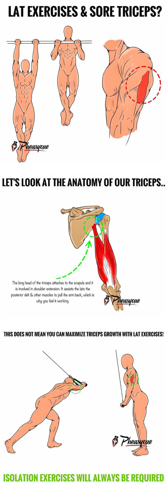 HOW TO LAT EXERCISES & SORE TRICEPS