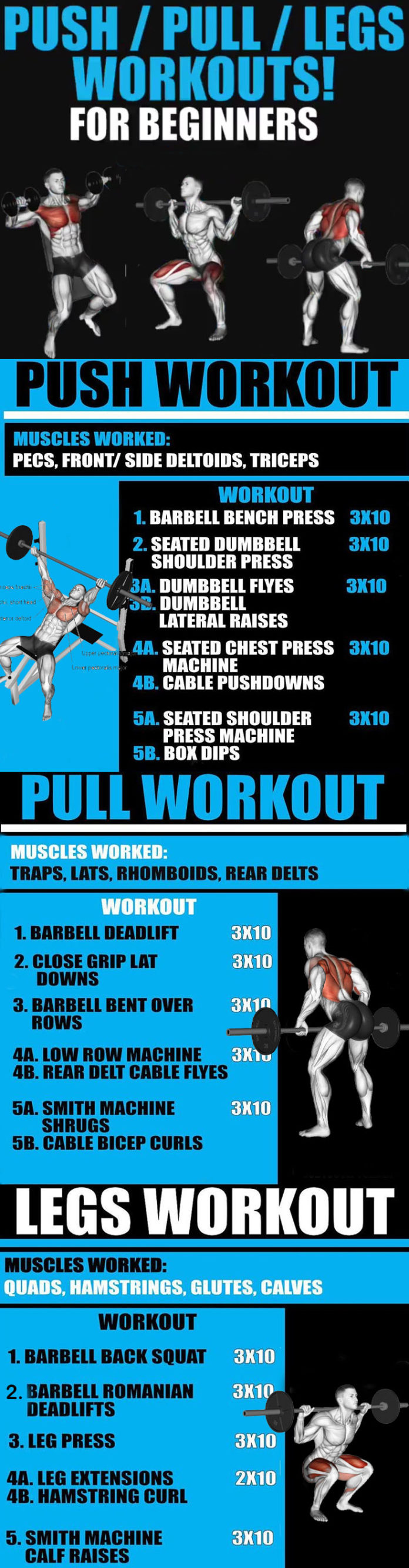 How to Push/ Pull/ Legs Split for Beginners