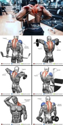 TRAPS HOW TO EXERCISES
