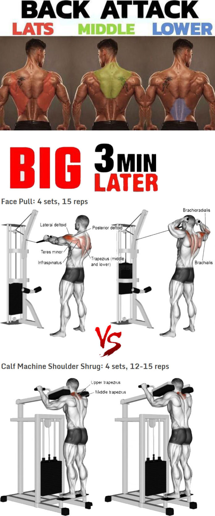 The Best Trap Workouts & Exercise Guides | Video